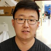 Chaoran Li, PhD | Faculty | People | Pediatric Research in Atlanta