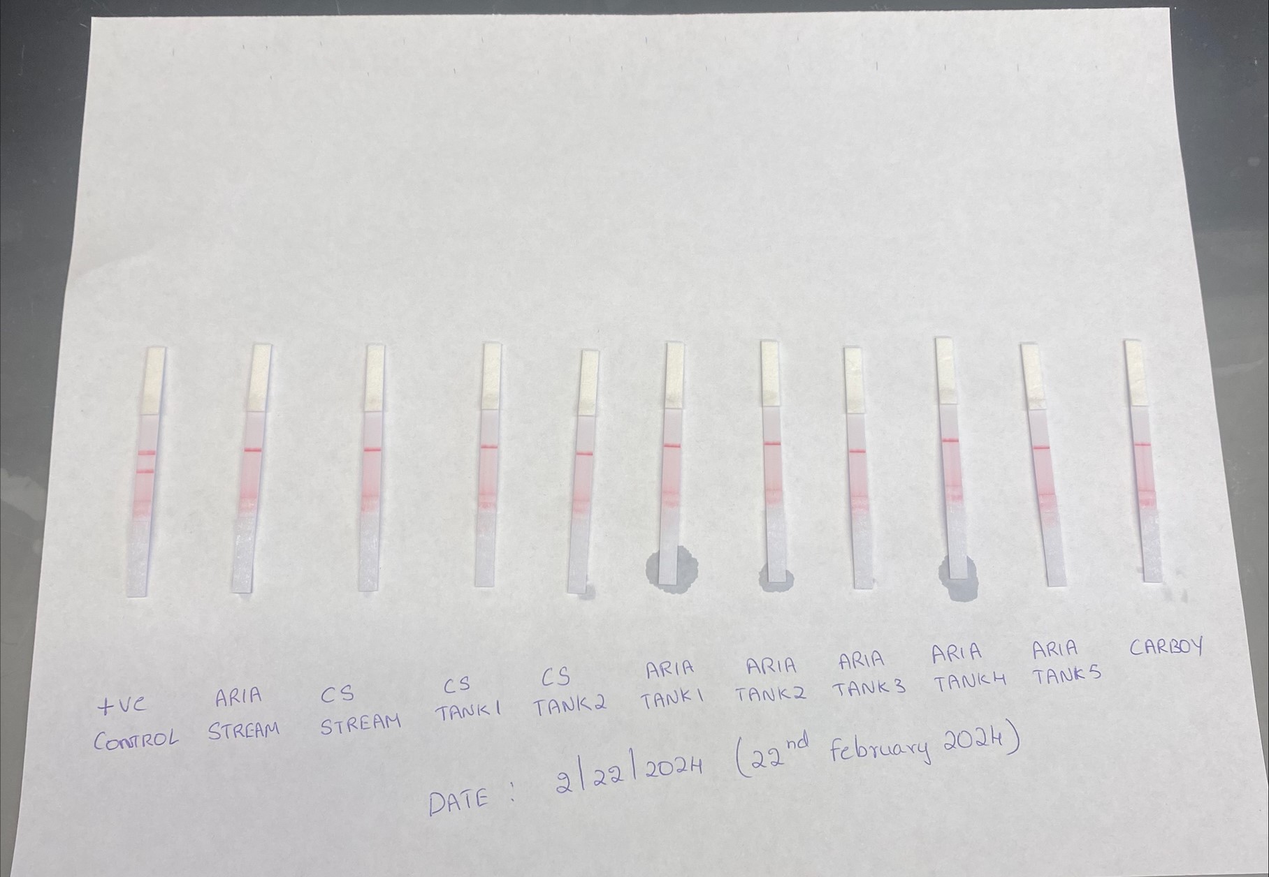 Flow Cytometry Core | Flow Cytometry Core | Cores | Pediatric Research ...